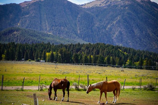 Gallery | Red Rock RV Park | Open Road Resorts