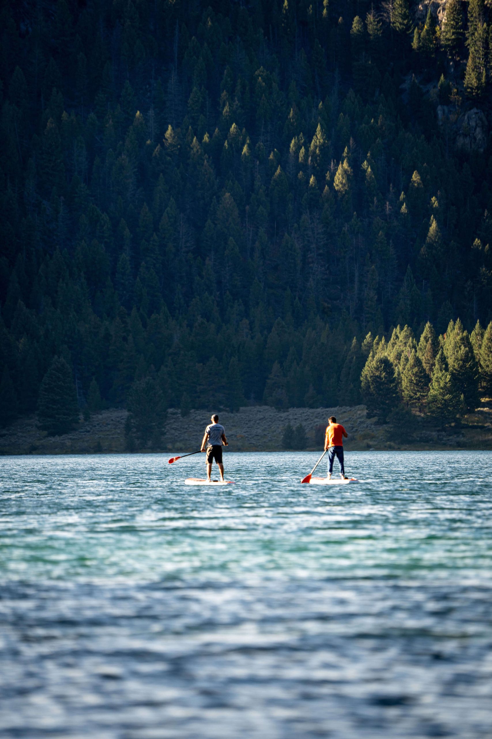 Gallery | Red Rock RV Park | Open Road Resorts