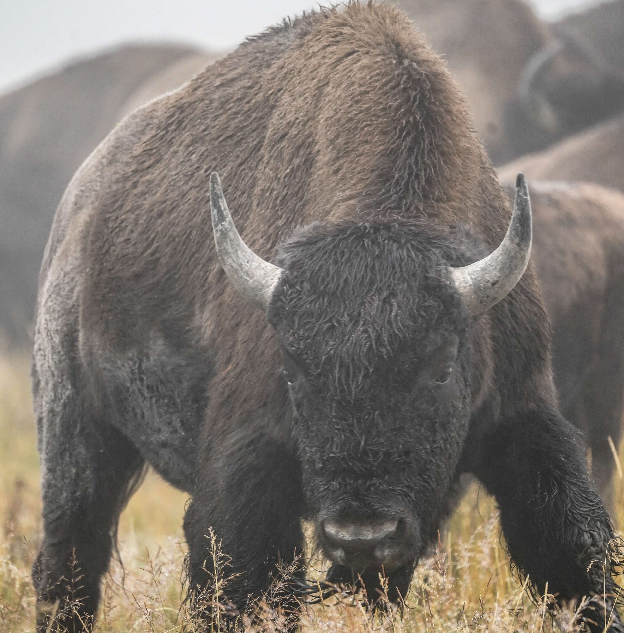 Gallery | Red Rock RV Park | Open Road Resorts