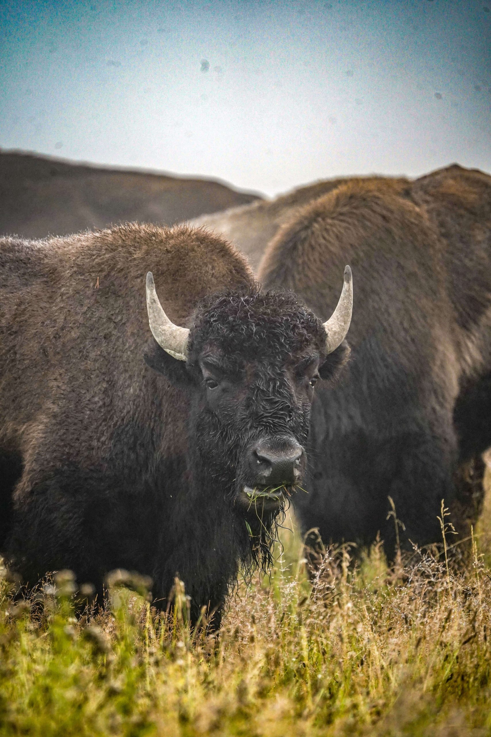 Gallery | Red Rock RV Park | Open Road Resorts